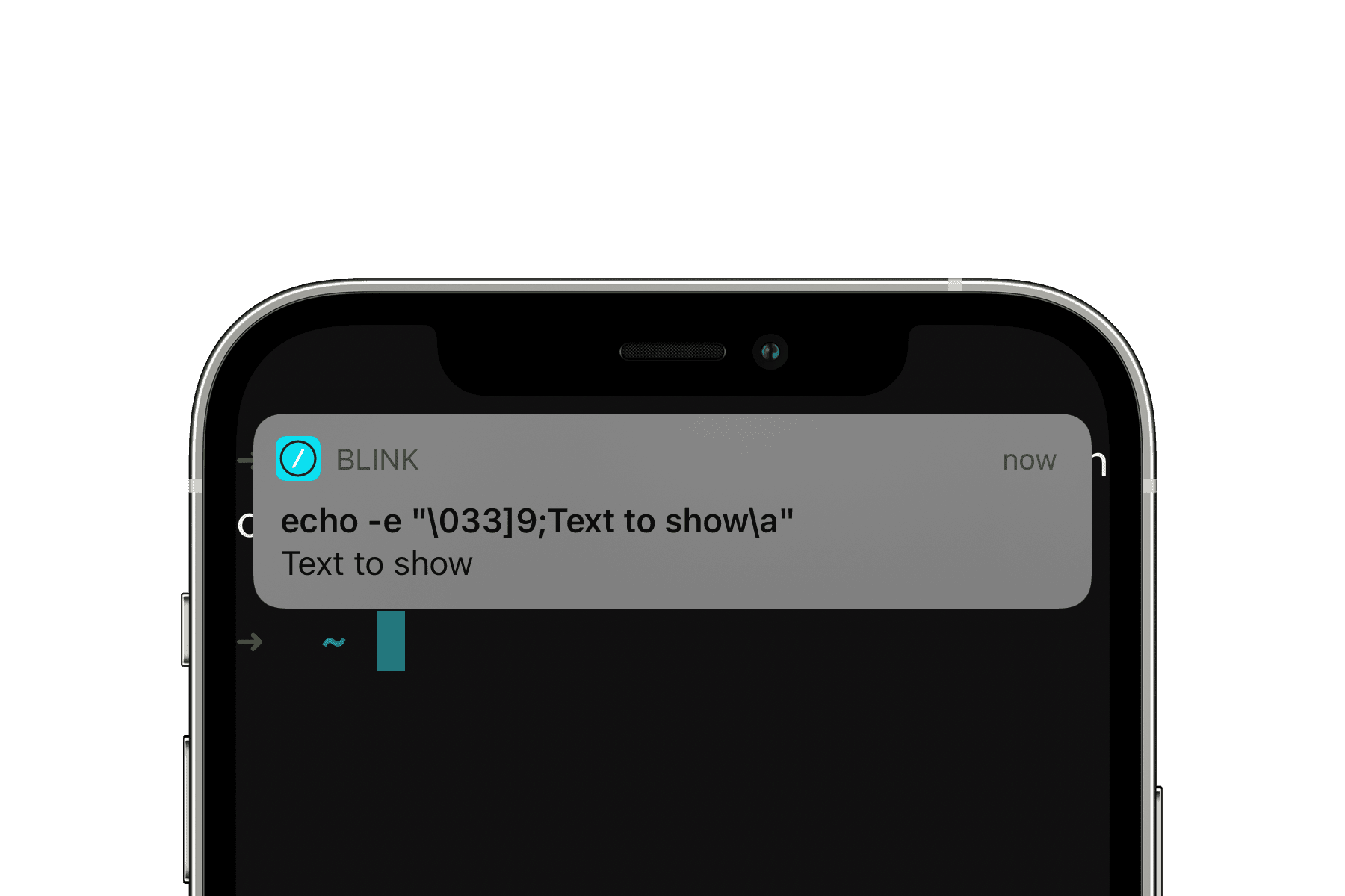 Notifications – Blink Shell
