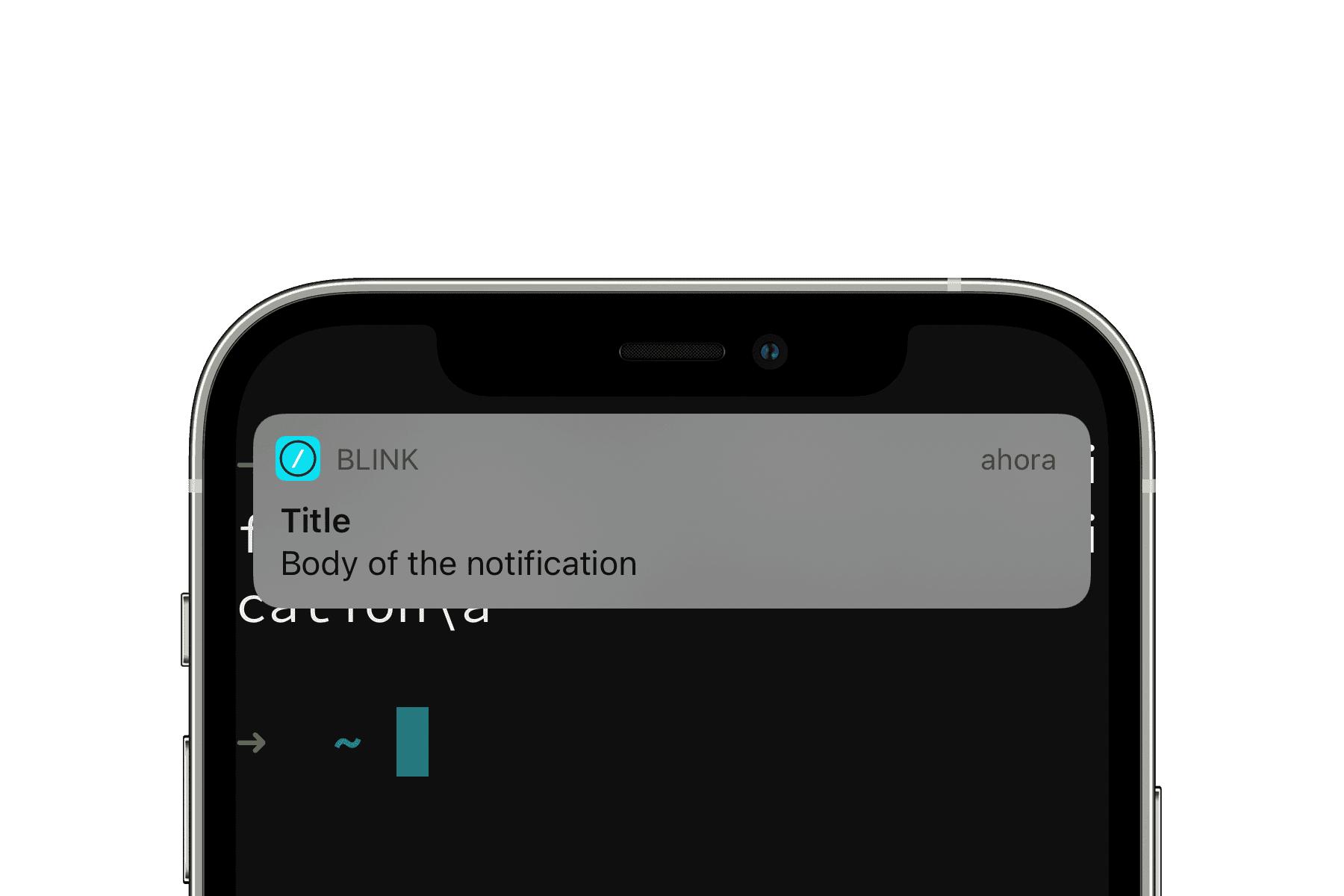 Notifications – Blink Shell