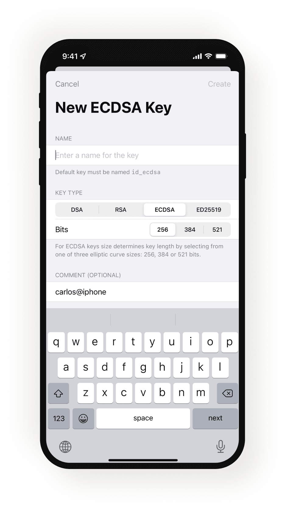 Using Ssh Keys With Blink Shell For Ios Blink Shell